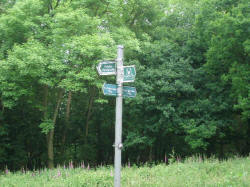 Day 25 9/06/07 St Leonards to Berkhamsted Common