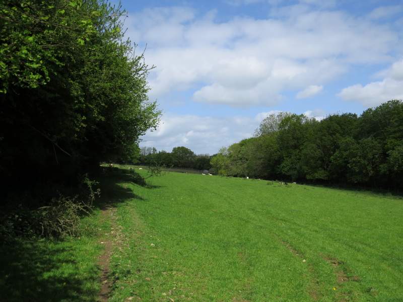 Pete's Walks - Hawridge, Chartridge End, Great Hivings (page 4 of 4)