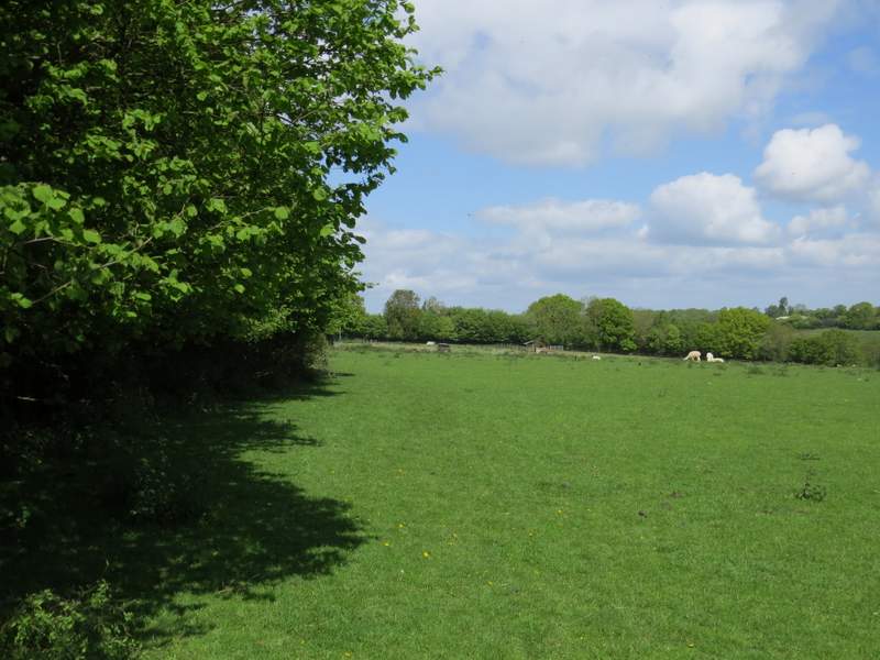 Pete's Walks - Hawridge, Chartridge End, Great Hivings (page 4 of 4)