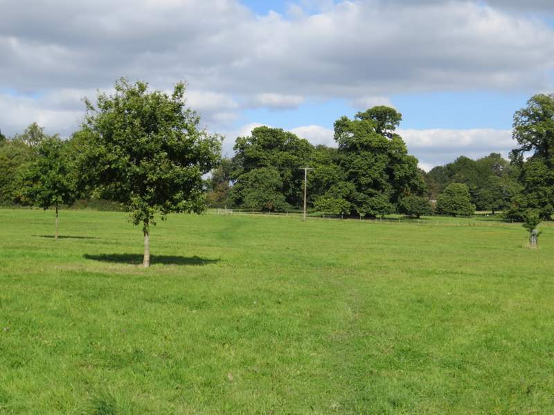 Pete's Walks - Gaddesden Row and Briden's Camp (page 3 of 3)