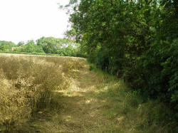 Day 3 24/07/07 Weston Underwood to near Lavendon